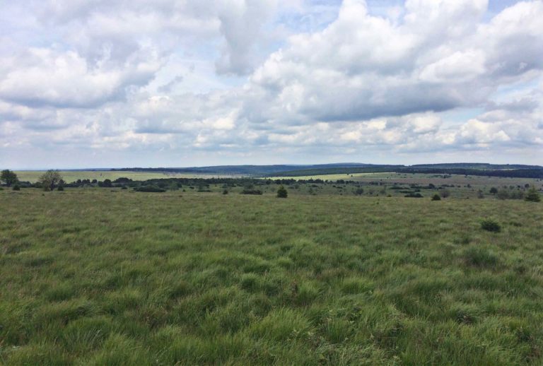 Les Hautes Fagnes : respirez et découvrez ! - Vivre à Bruxelles