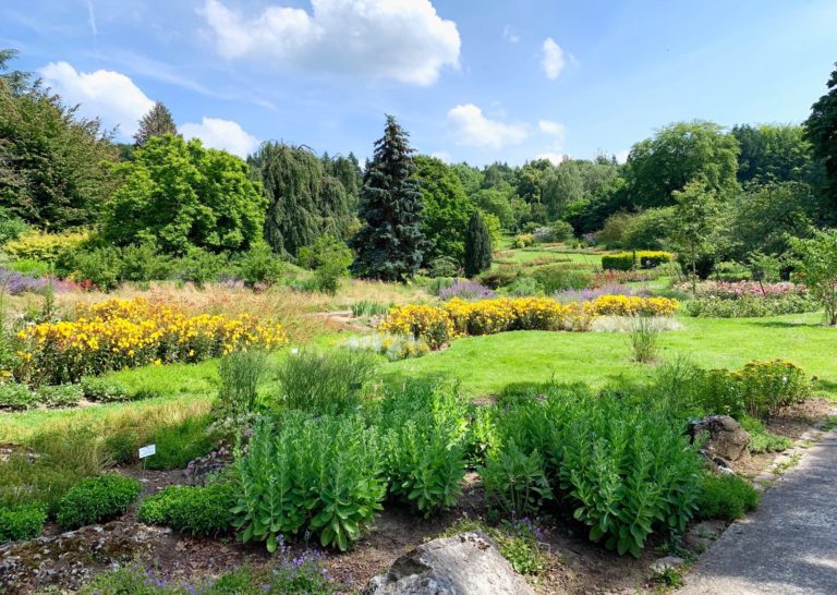 Le Parc du domaine de Huizingen - Vivre à Bruxelles